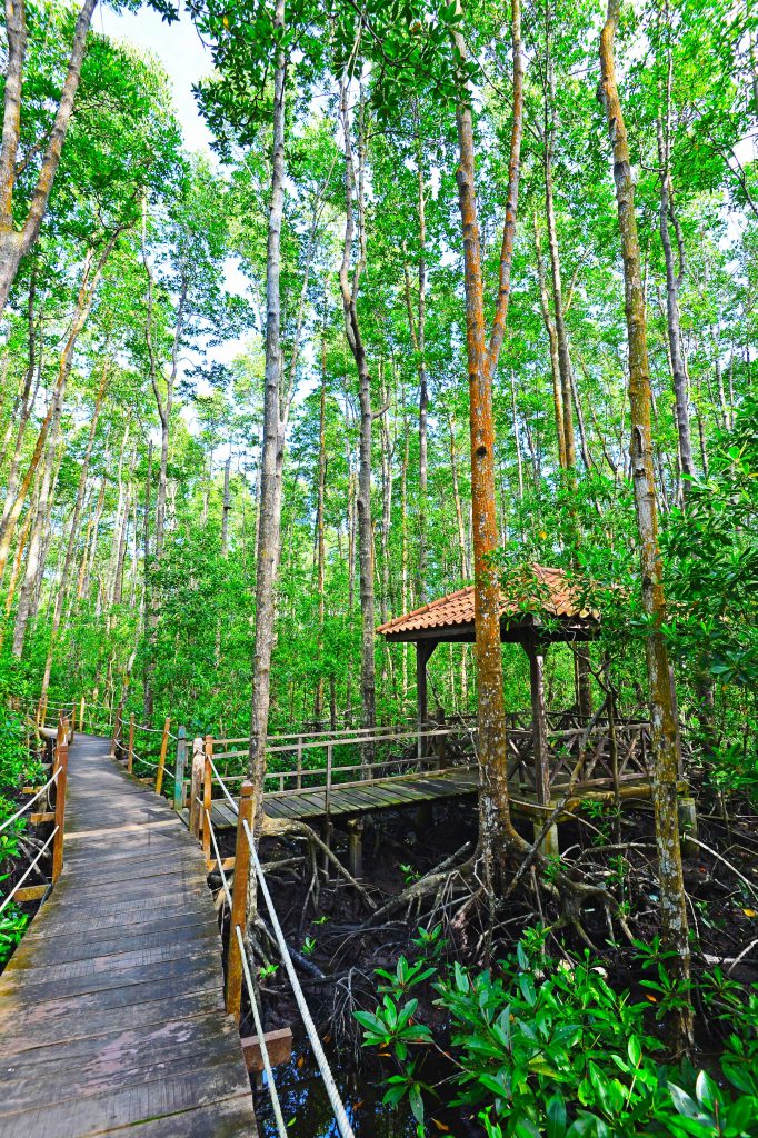 Tanjung Piai - Johor National Parks