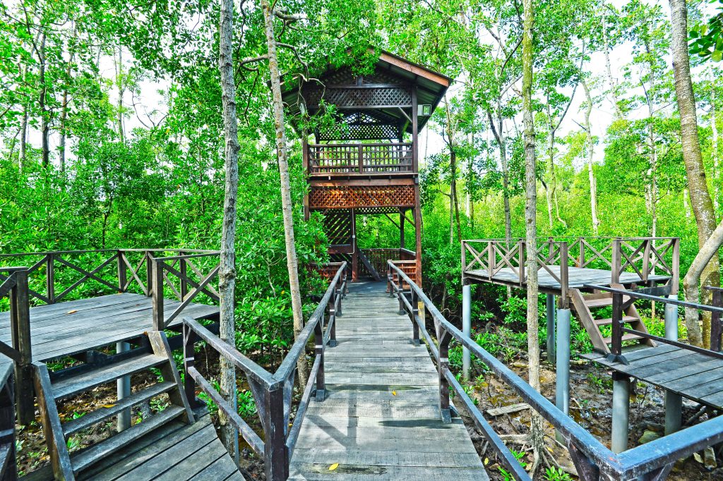 Tanjung Piai - Johor National Parks
