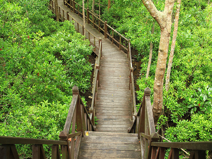 Tanjung Piai - Johor National Parks