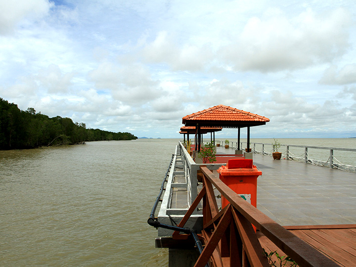 Pulau Kukup - Johor National Parks