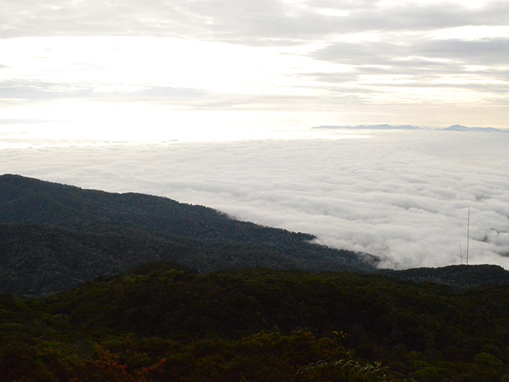Gunung Ledang Lagenda - Johor National Parks