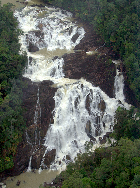 Endau-Rompin Peta - Johor National Parks