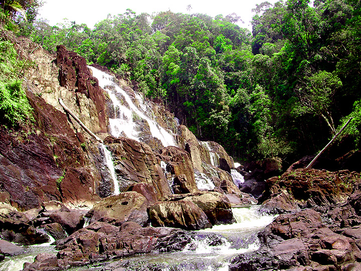 Endau-Rompin Peta - Johor National Parks
