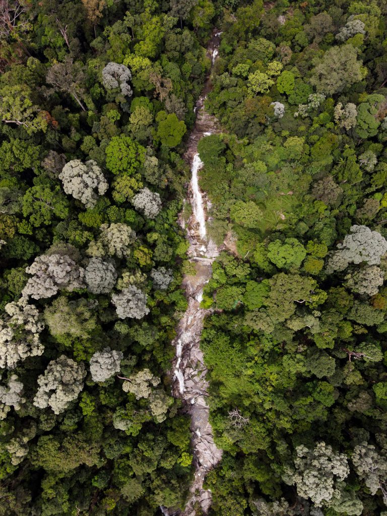Gunung Ledang Waterfall - Johor National Parks