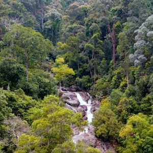Gunung Ledang Waterfall - Johor National Parks