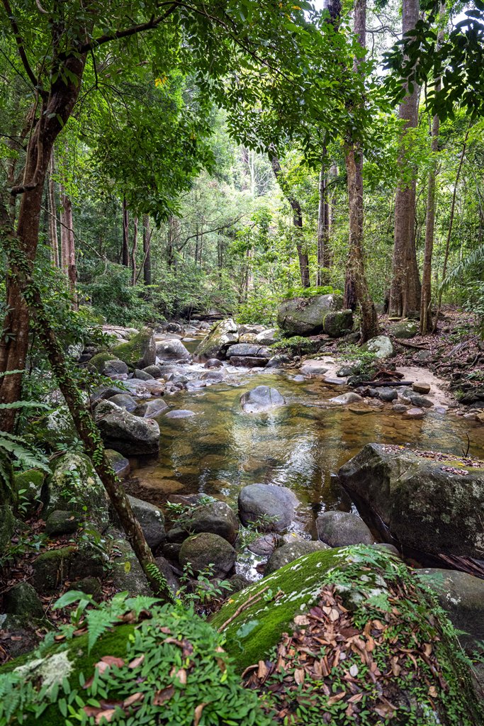 Gunung Ledang Waterfall - Johor National Parks