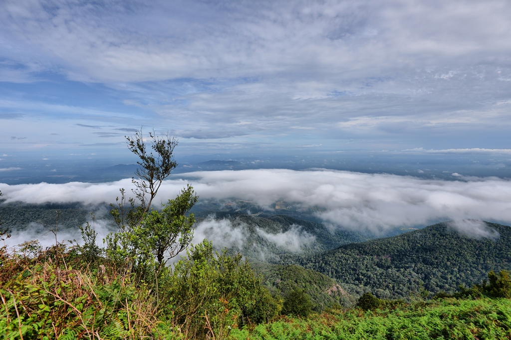 Gunung Ledang Lagenda - Johor National Parks