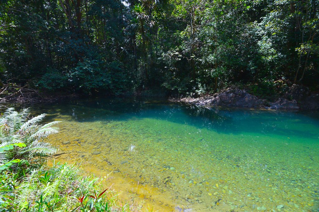 Endau-Rompin Peta - Johor National Parks