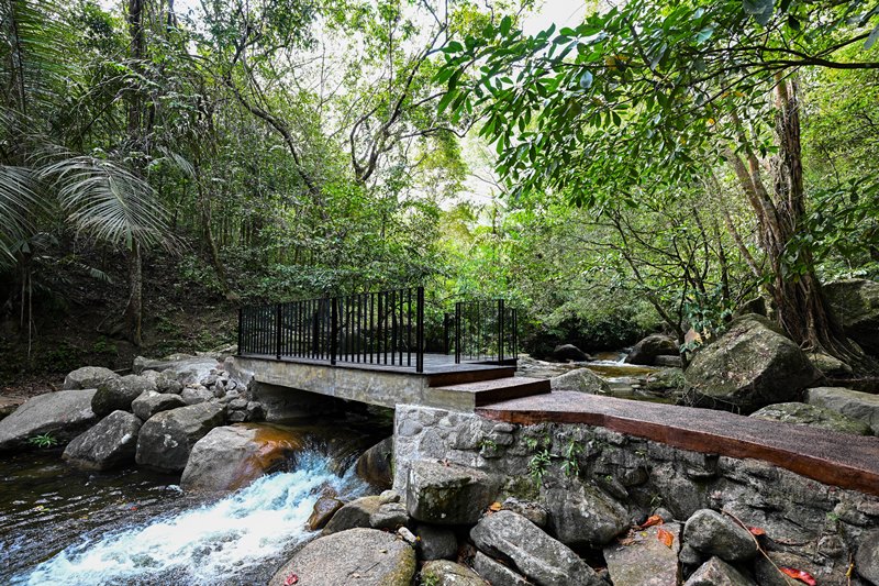 Gunung Ledang Waterfall - Johor National Parks